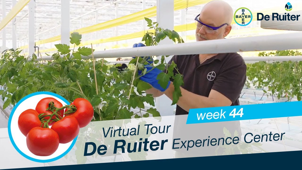 Virtual Tour De Ruiter Experience Center 4 November 2022_NL (+ english ...