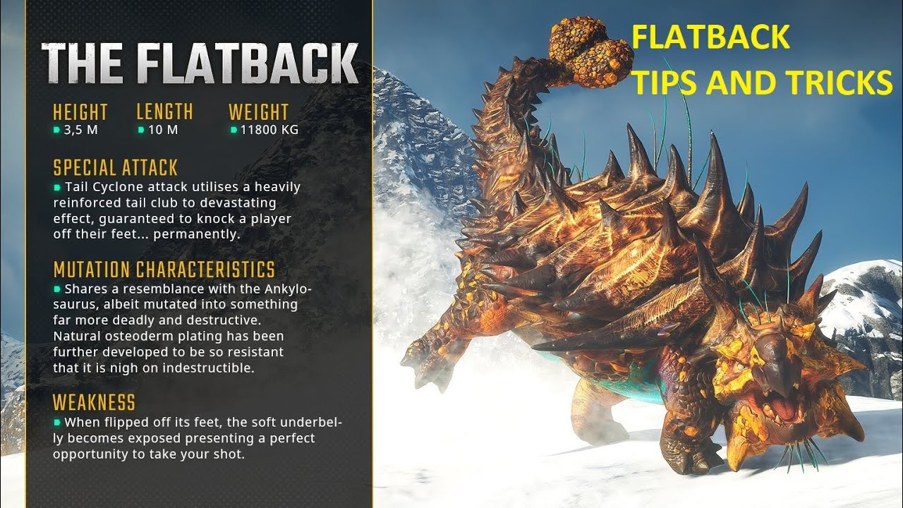 Second Extinction: Flatback Tips and Tricks - YouTube