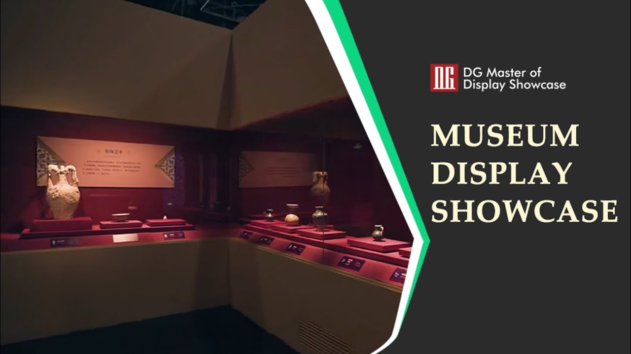 Enhance Museum Experience: High-Quality Display Cases Protect Artifacts ...