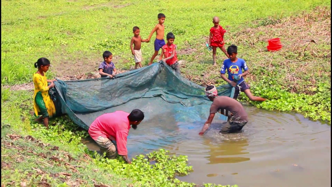 Best fishing video - Asian traditional net fishing in village - MR ...