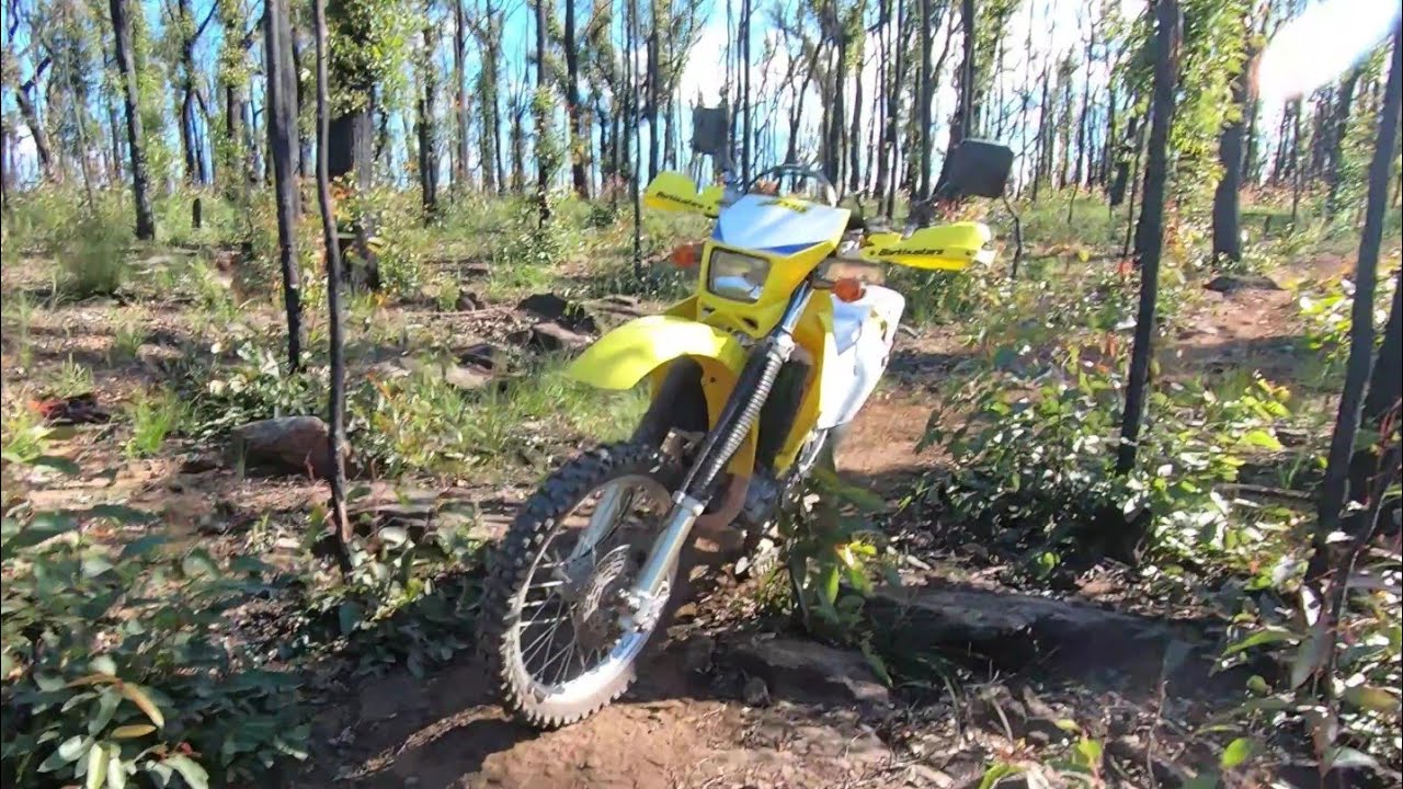 DRZ400E first epic single track adventure in 6months - YouTube