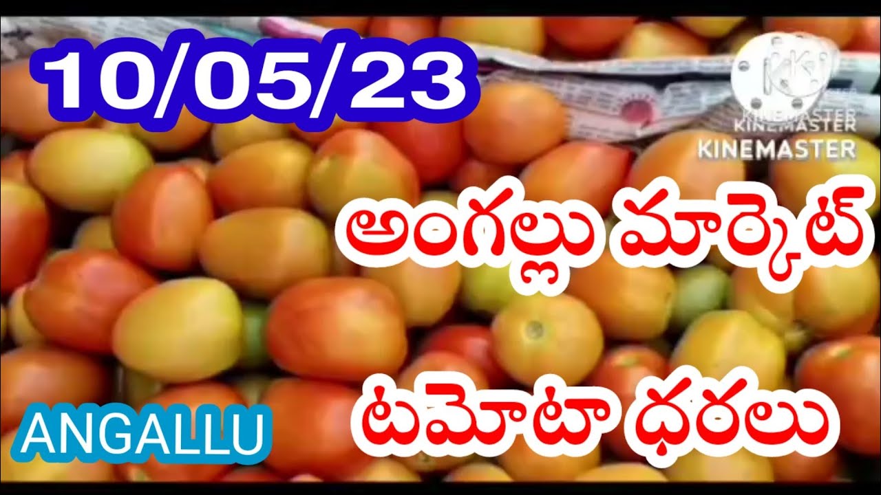May 10, 2023#today angallu market tamota retes top price in angallu ...