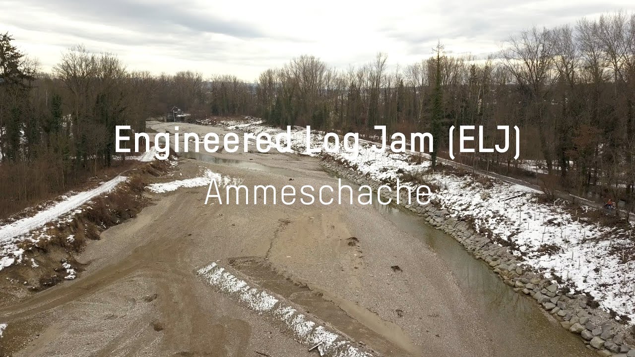 Engineered Log Jam (ELJ) - Ämmeschache - YouTube