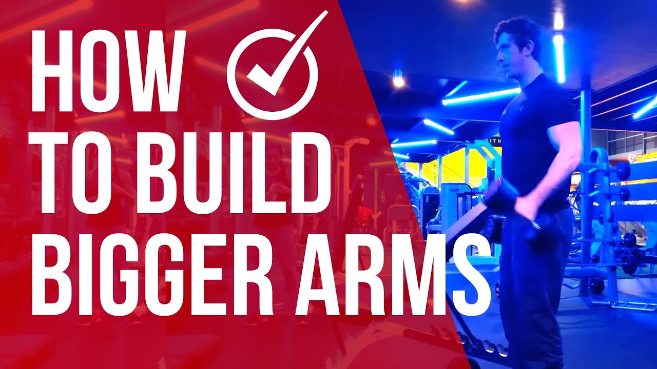 Outer Bicep Exercises | How to Build Wider Arms - YouTube