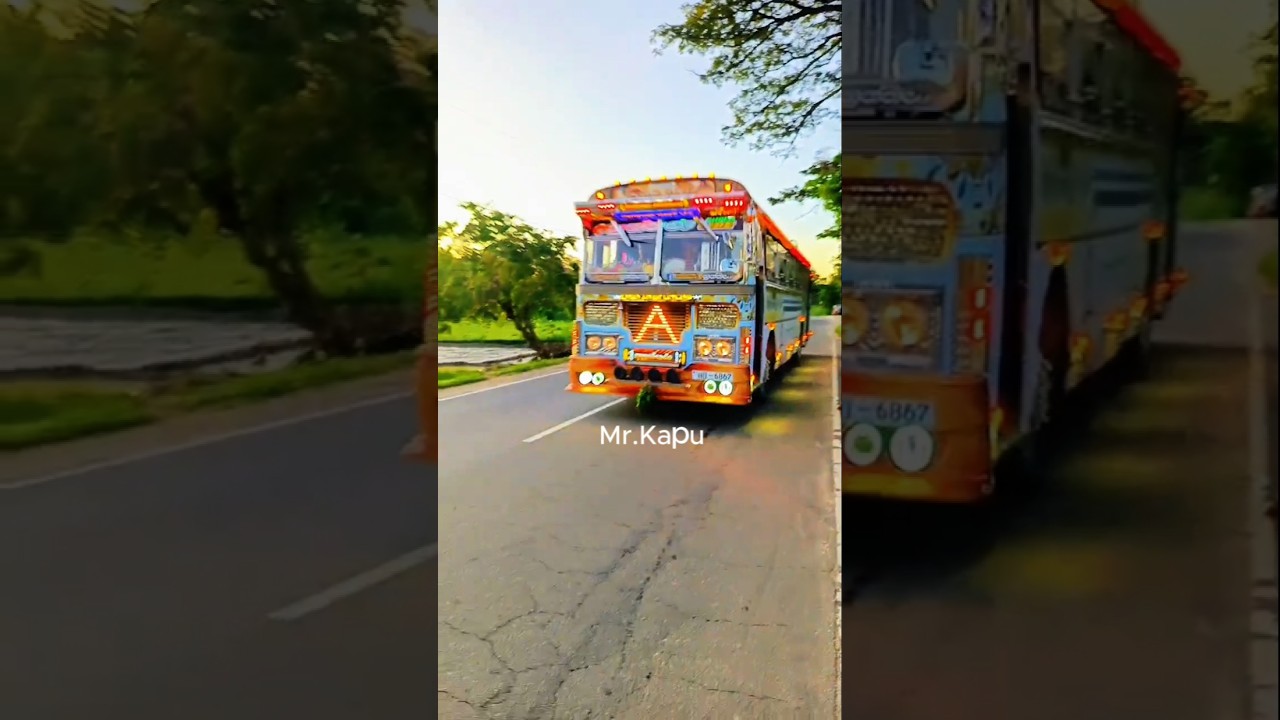 Modify Bus 🇱🇰 #bus #travel #srilanka #beautiful #beats #shortvideo # ...