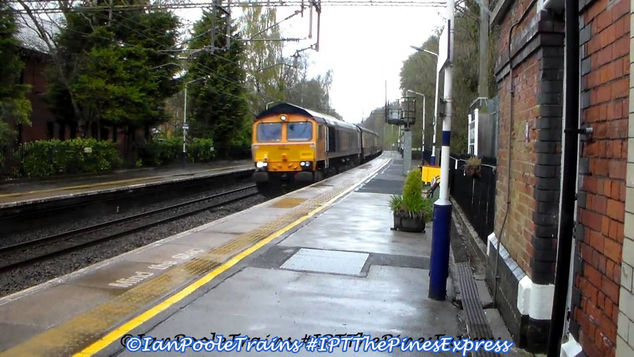 Season 7, Episode 177 - The Pines Express Rides Again - YouTube