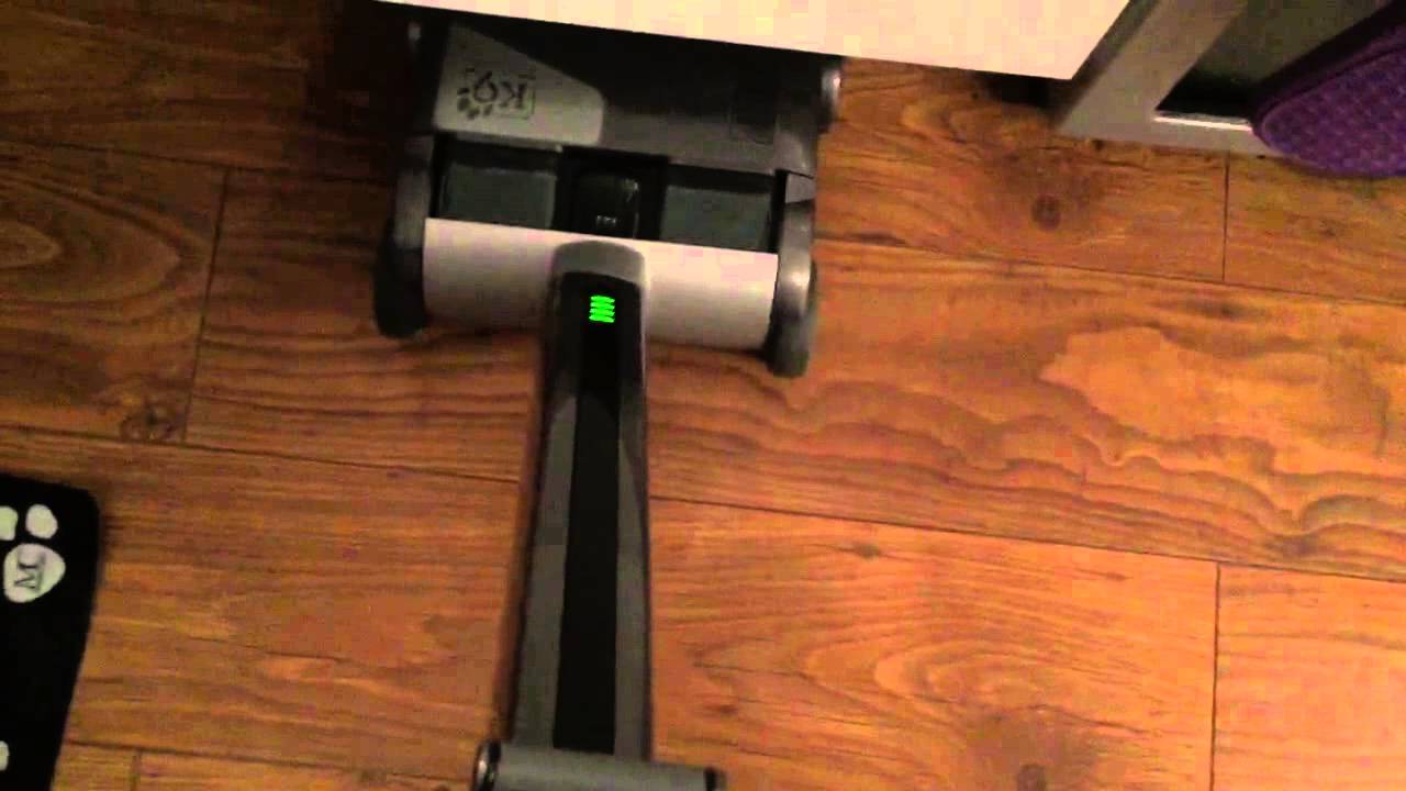 Gtech AirRam k9 - YouTube