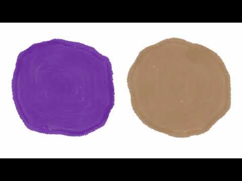 Colors Song for Kids   I See Colors Everywhere Songs   ELF Kids Videos