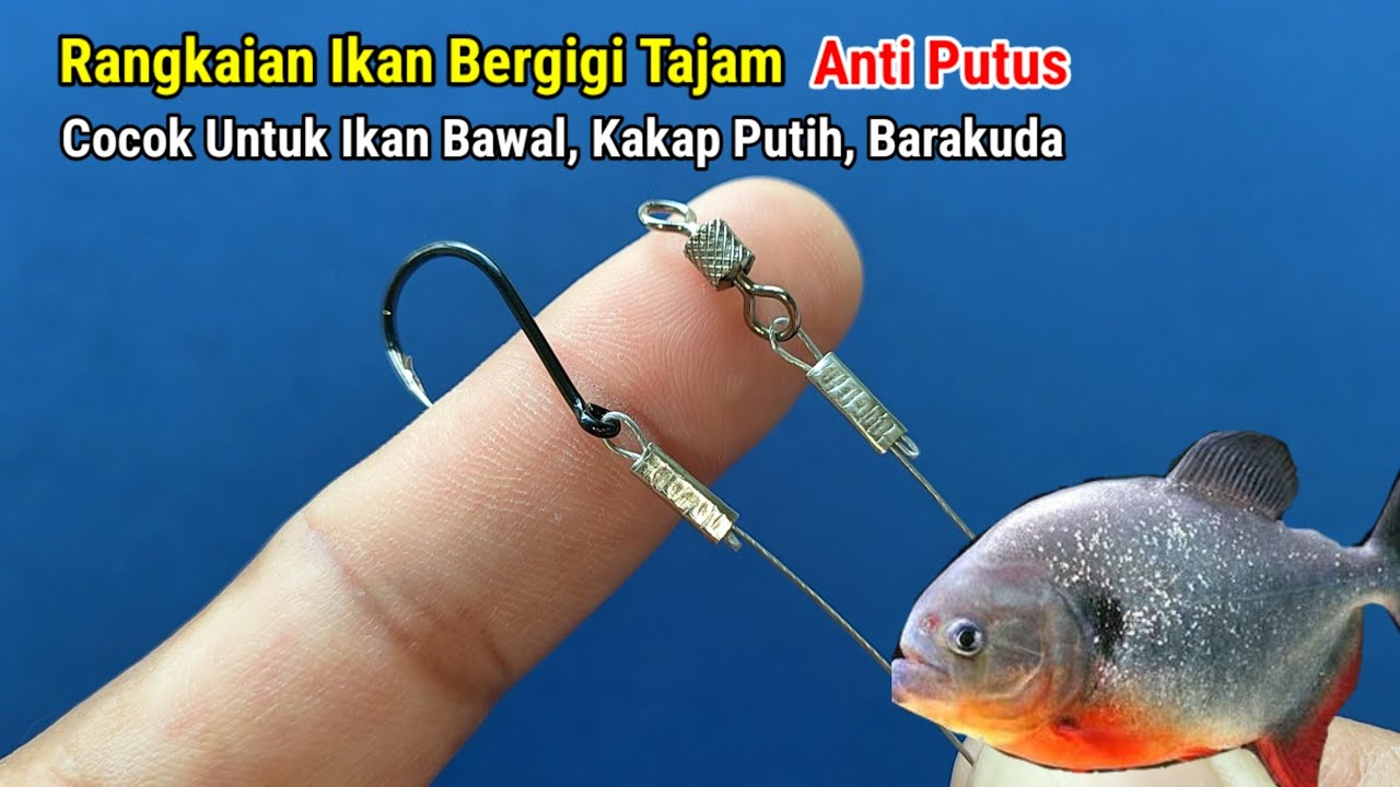 CARA BENAR! Membuat Rangkaian Pancing Ikan Bawal Anti Putus - YouTube