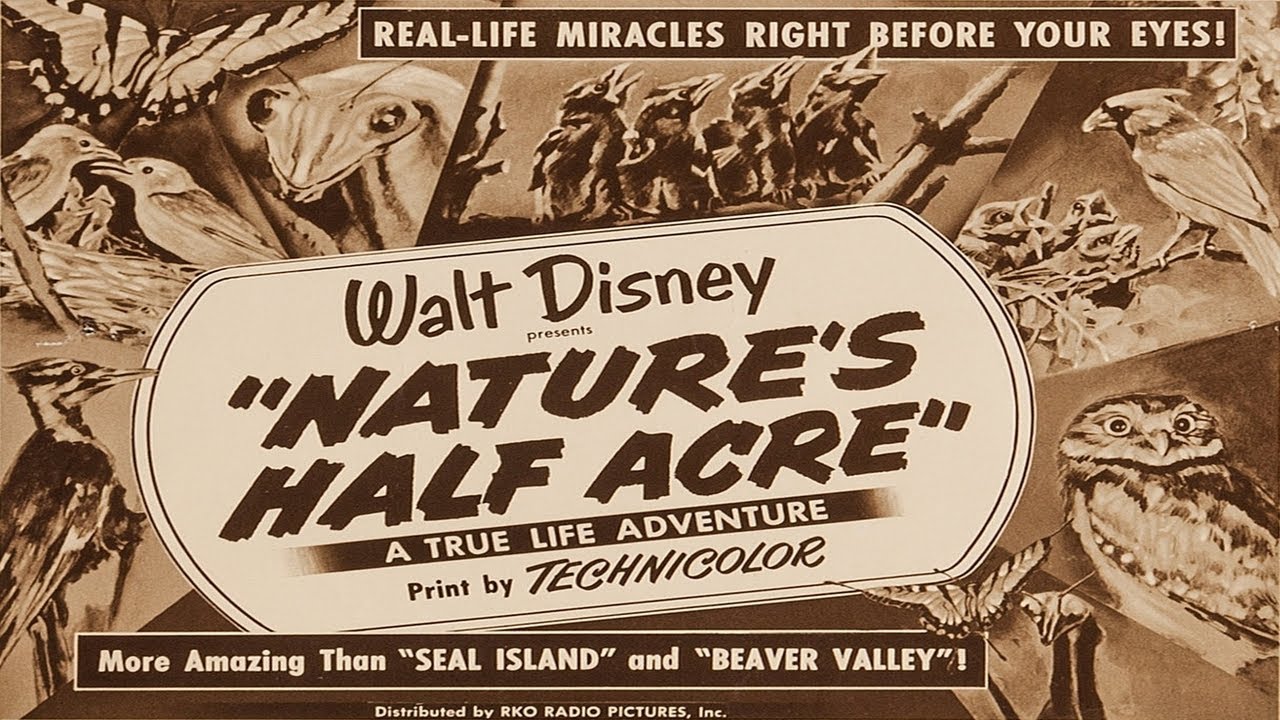 Walt Disney - Nature's Half Acre 1951 - Remastered In HD ...