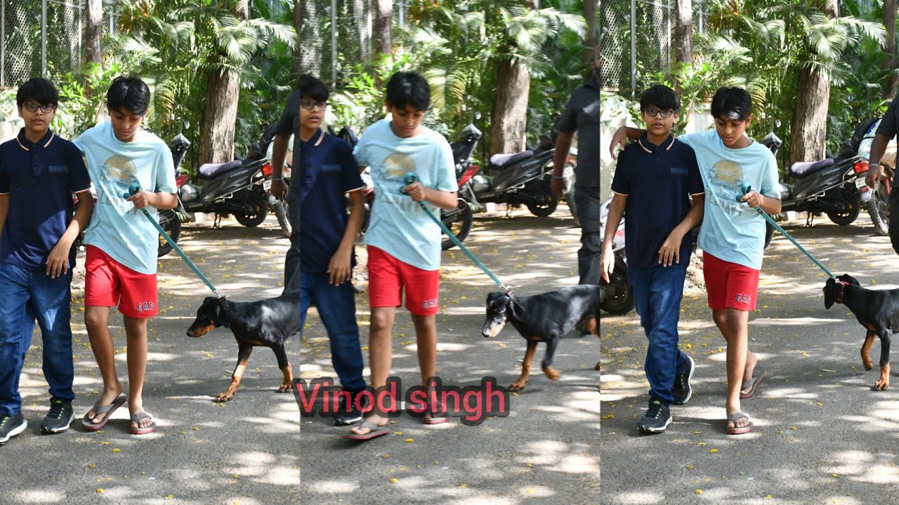 Ajay devgn son Yug Devgan with Pet spotted at jhuh - YouTube
