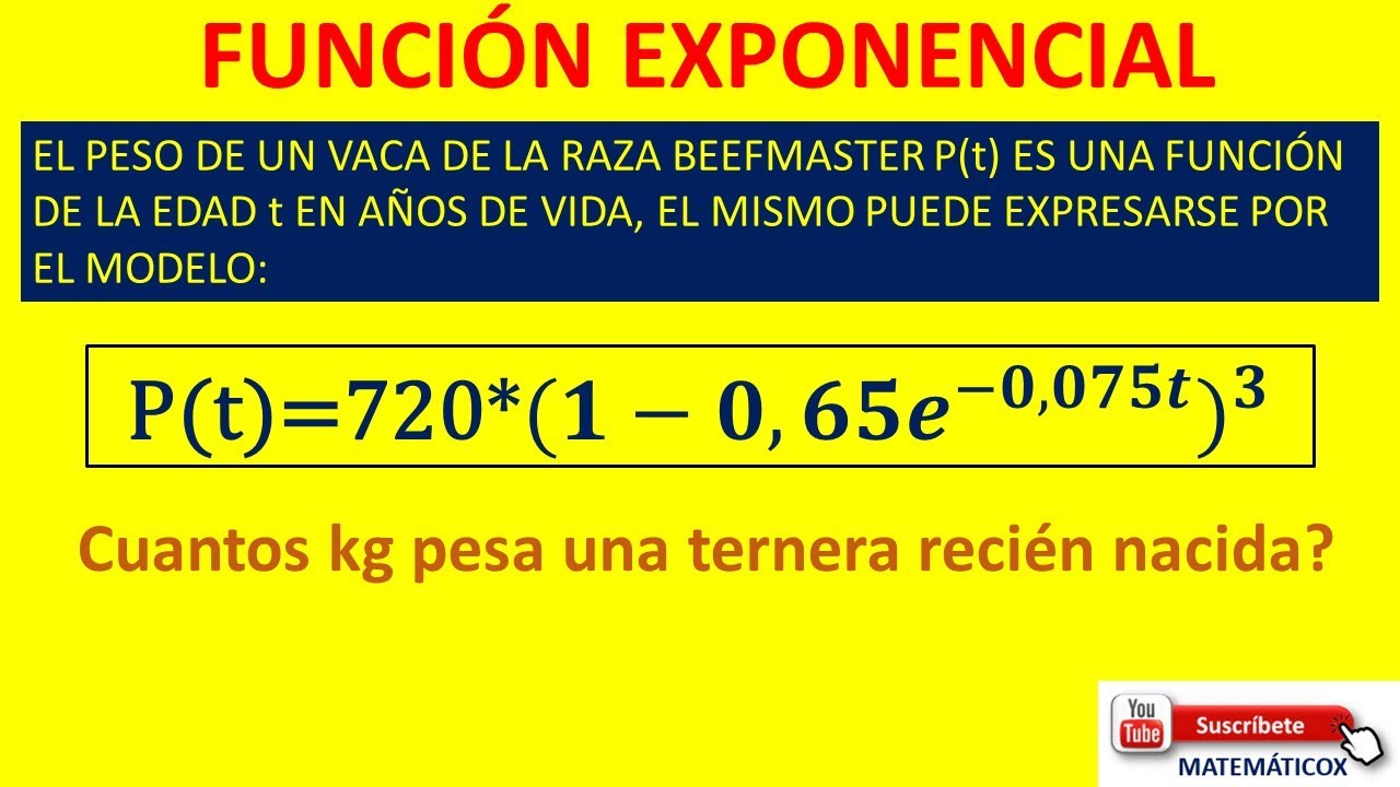 564 FUNCIÓN EXPONENCIAL: el peso de una vaca de la raza Beefmaster P(t ...