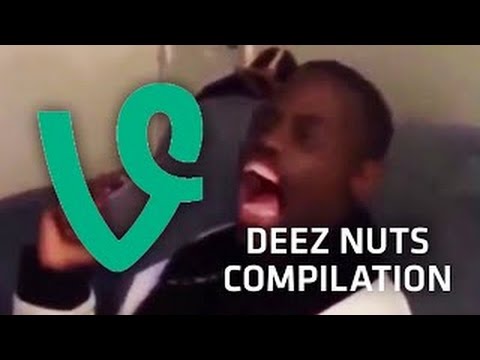 Deez Nutz Vine Compilation l Funny Deez Nuts Vines l Vine Time - YouTube