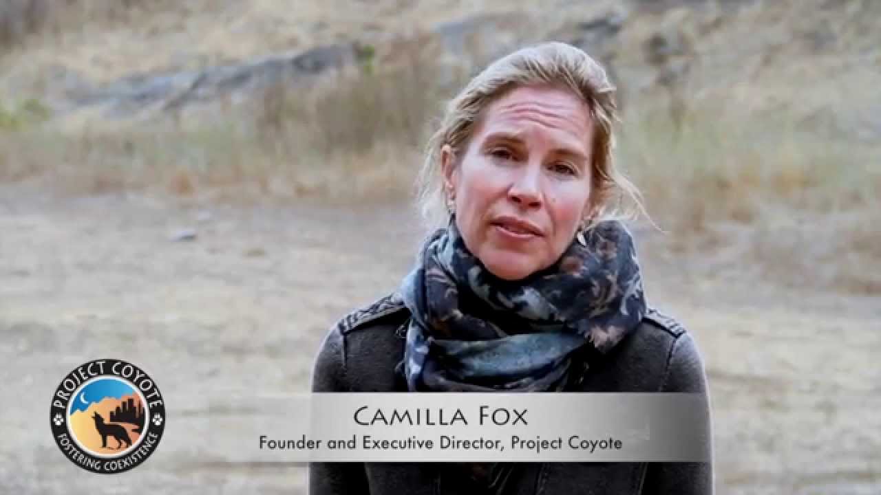Ending Wildlife Killing Contests: A Message from Camilla Fox - YouTube