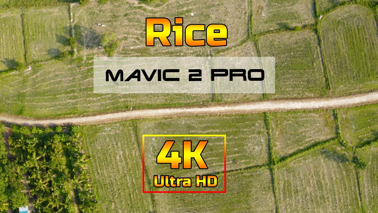【4K】DJI Mavic 2 Pro Drone Rice Footage Songkhla - Thailand 2020 l ทุ่ง ...