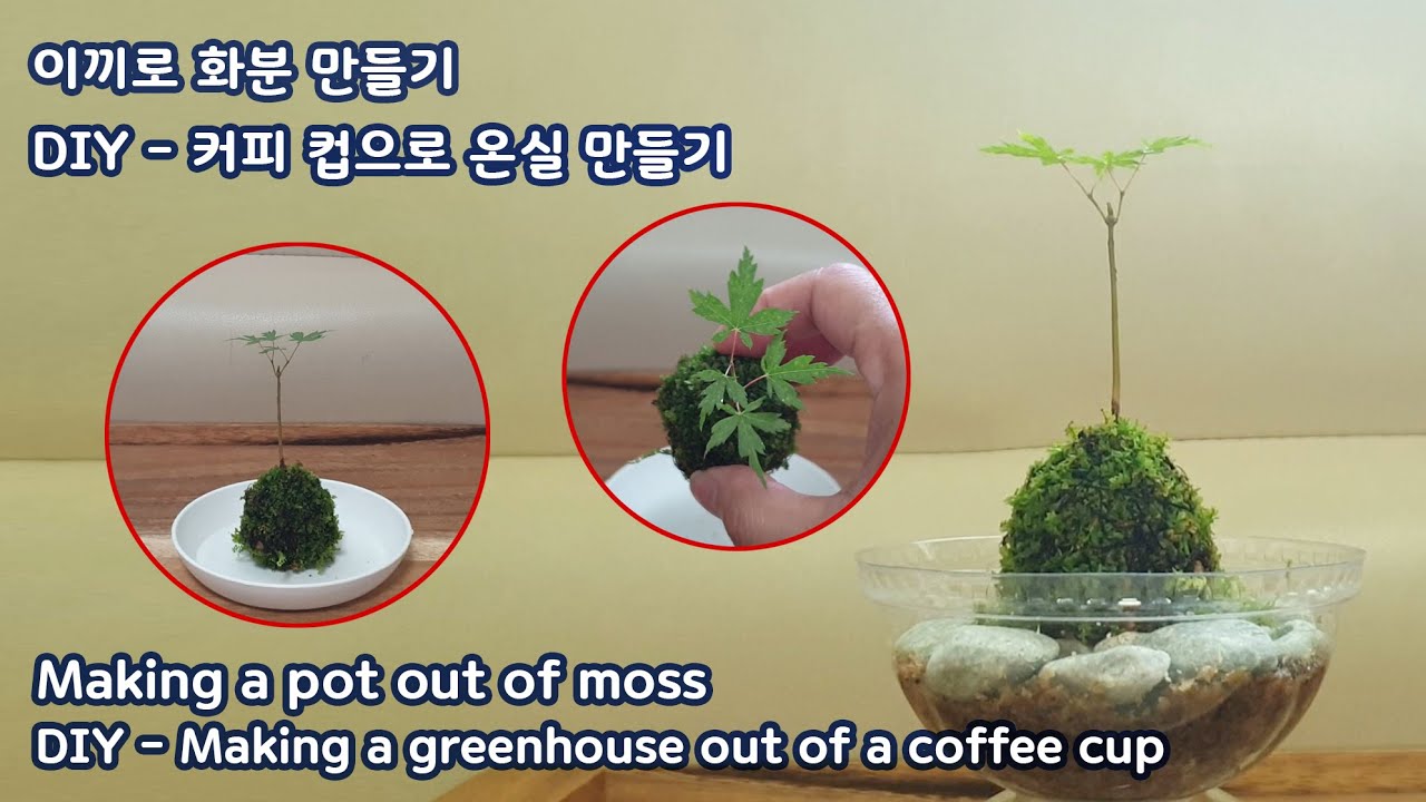 이끼로 화분 만들기 Making a pot out of moss - YouTube