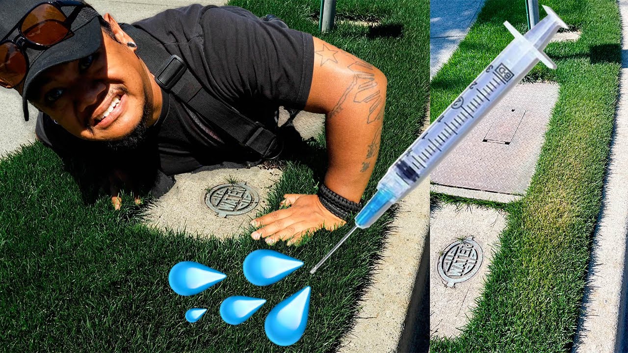 What is Lawn Syringing? The Secret to green grass all summer long! Lawn ...