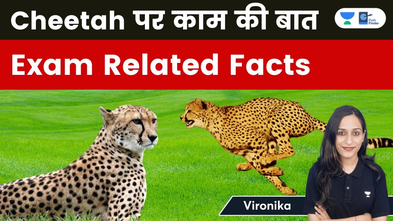 Know all exam related facts about cheetah | 7 Big Cats | Explained by ...