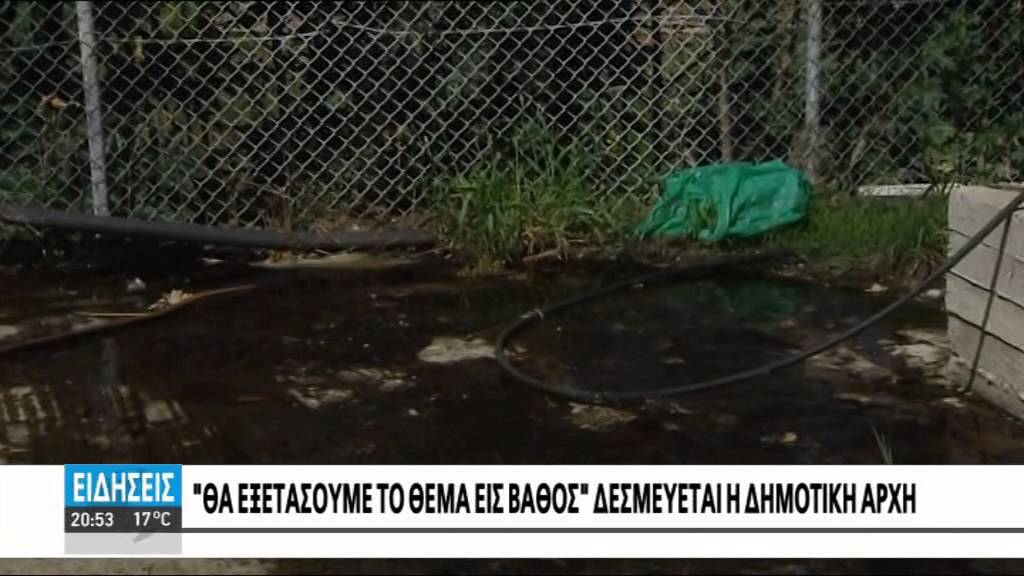 ΕΙΚΟΝΕΣ ΝΤΡΟΠΗΣ ΜΙΑ ΑΝΑΣΑ ΑΠΟ ΤΑ ΣΦΑΓΕΙΑ ΤΩΝ ΜΟΙΡΩΝ - YouTube