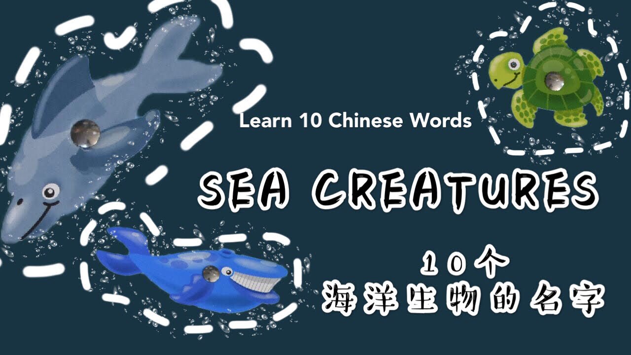 Learn 10 Chinese Words: Sea Creature 学习生词：海洋生物 - YouTube