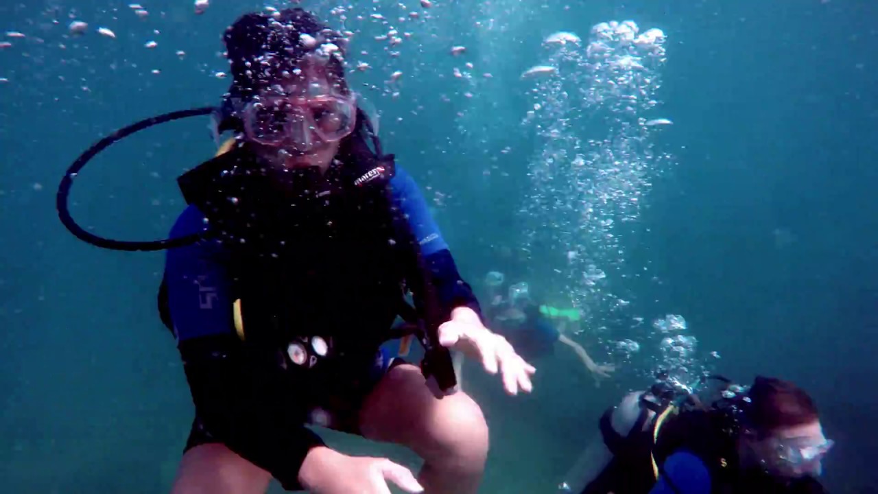 Adventures W Amber Chap: 1.1: Diving in Bintan - YouTube