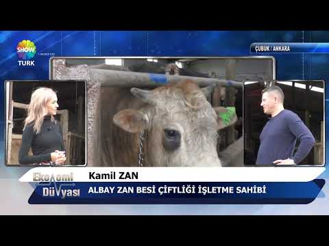 ALBAY ZAN BESİ ÇİFTLİĞİ - SHOWTÜRK EKONOMİ DÜNYASI
