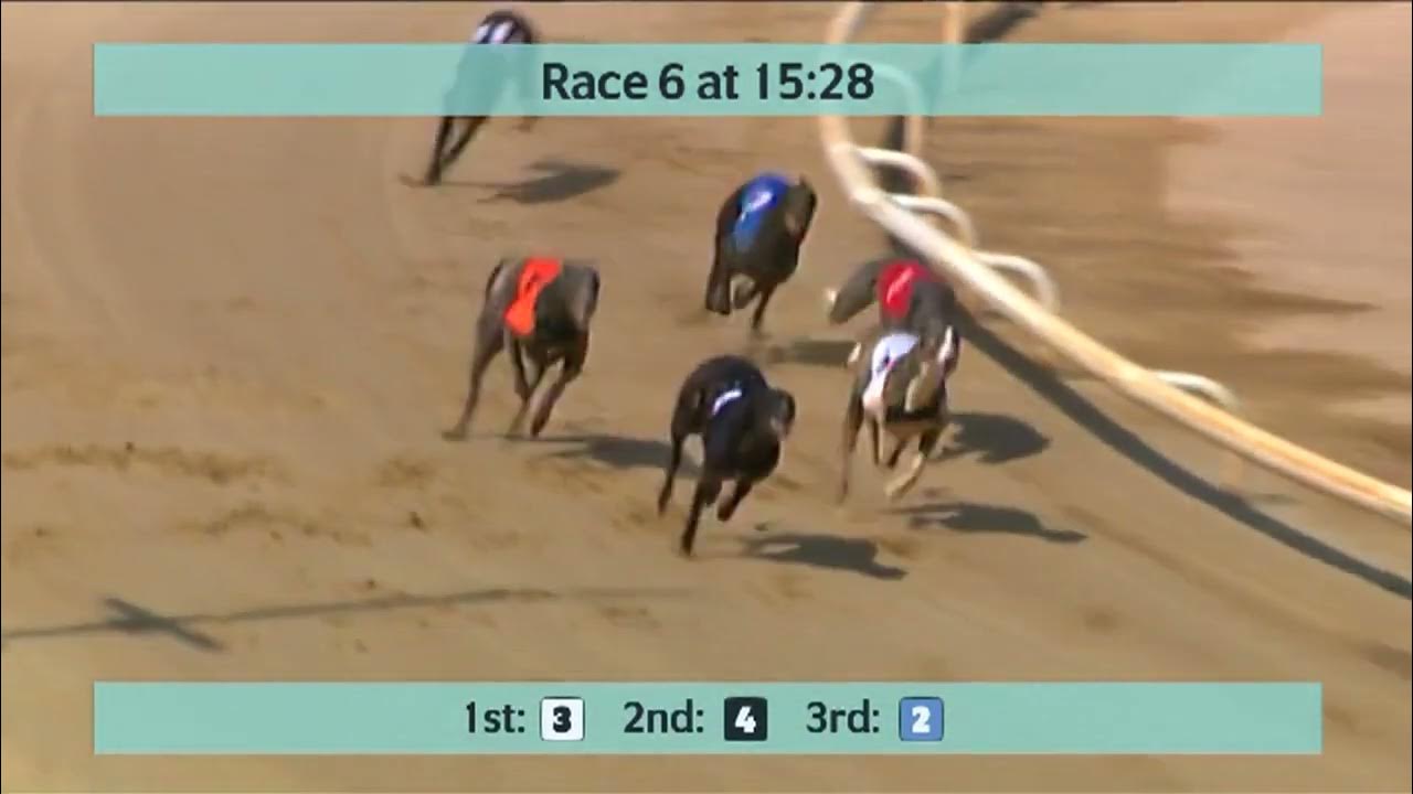 Monmore Greyhounds Races on 26th May 2023 - YouTube Monmore Greyhounds Races on 26th May 2023 - YouTube