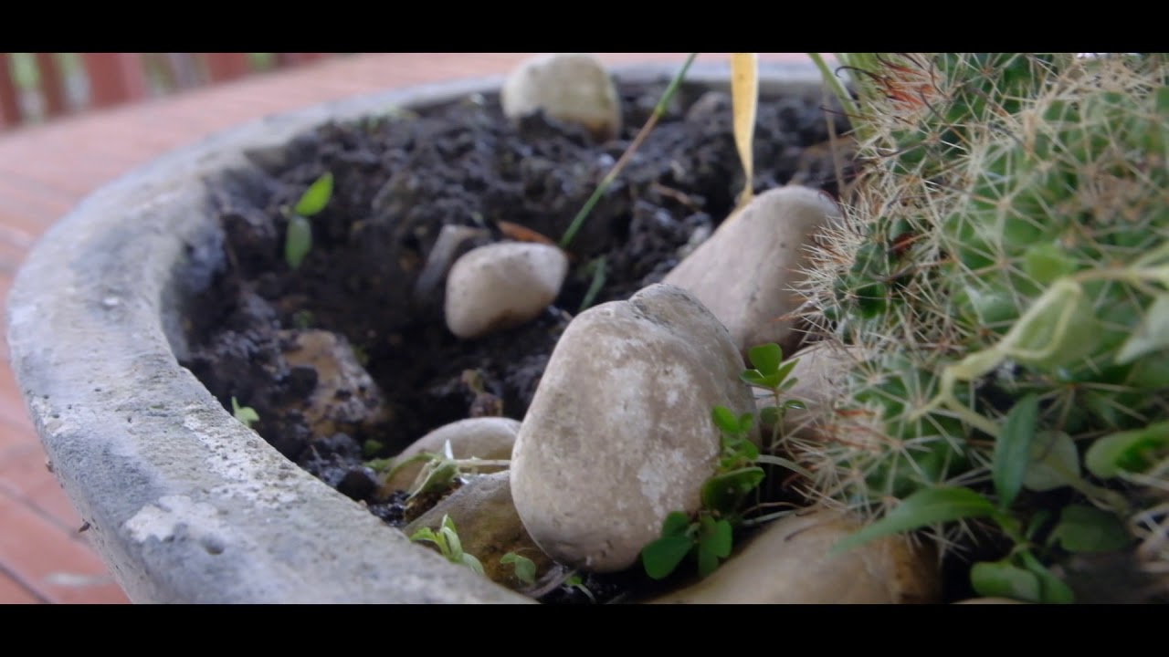 Patterns around the world - MATH BSIT 1-1C - YouTube