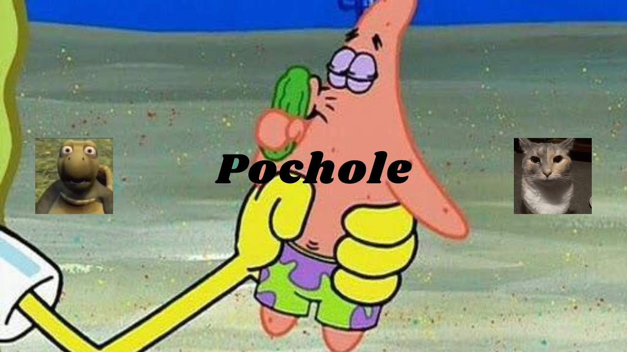 Pochole Live Stream - YouTube