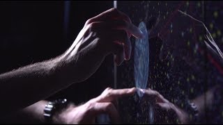 MOD. - Adelaide, Attraction | South Australia