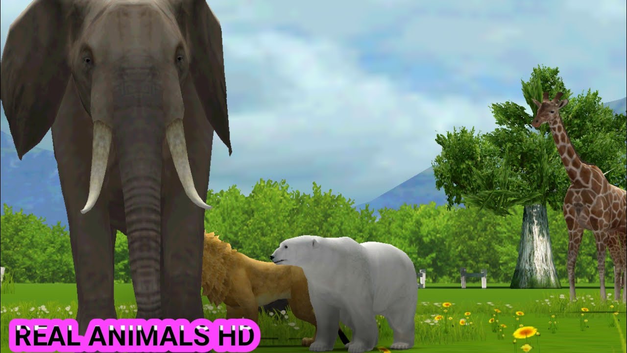 Learn Animals | Have Fun With REAL ANIMAL 3D Game | Funny gameplay ...