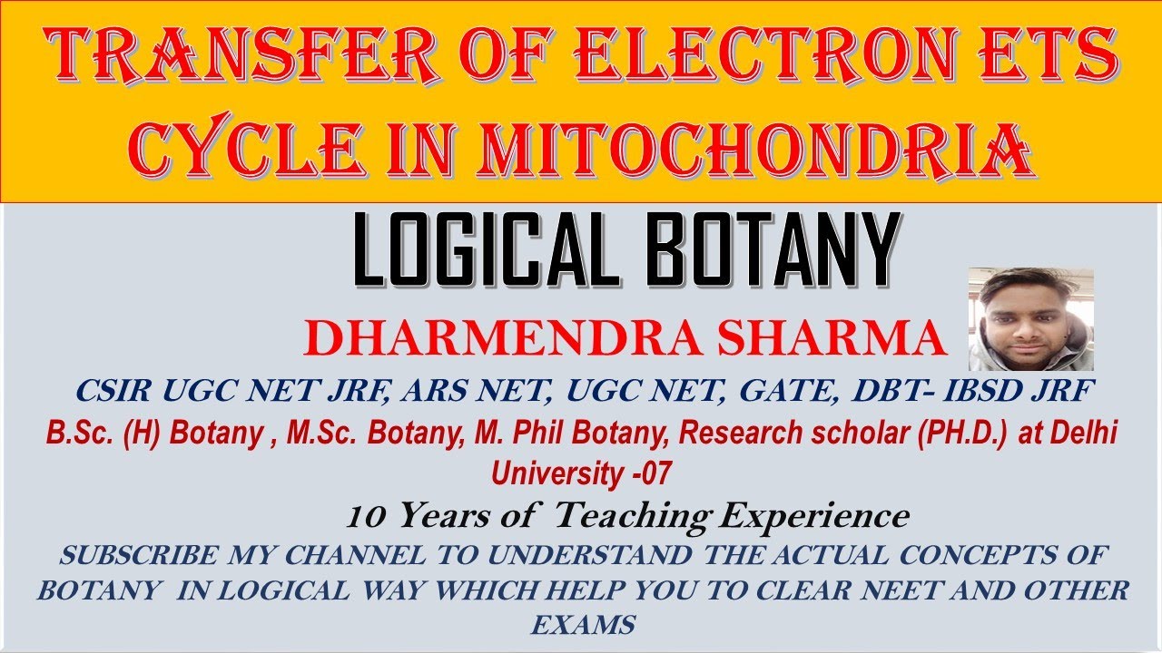 Transfer of Electron In ETS cycle with Logic II NEET II CBSE II AIIMS ...