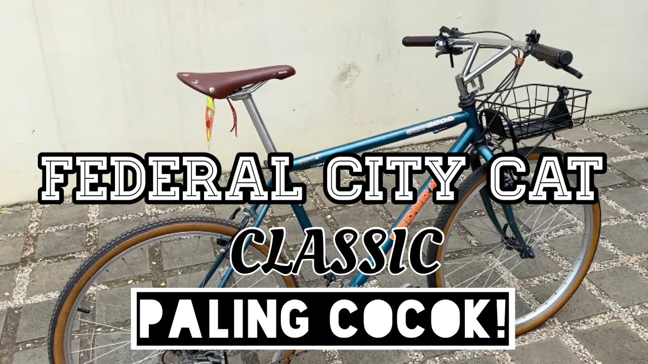 FEDERAL CITY CAT - REBUILD CLASSIC COMMUTER BIKE - YouTube