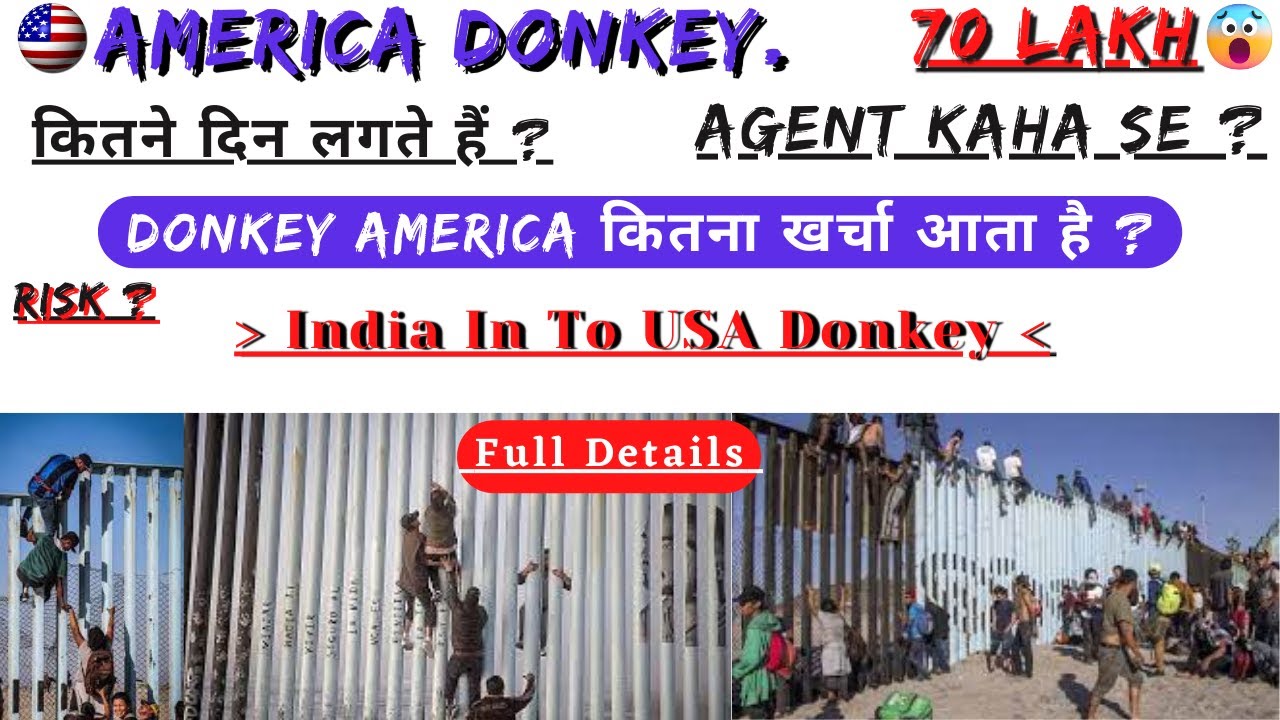 INDIA 🇮🇳 TO USA 🇺🇸 DONKEY | कितना खर्चा आता है | Donkey America | USA ...
