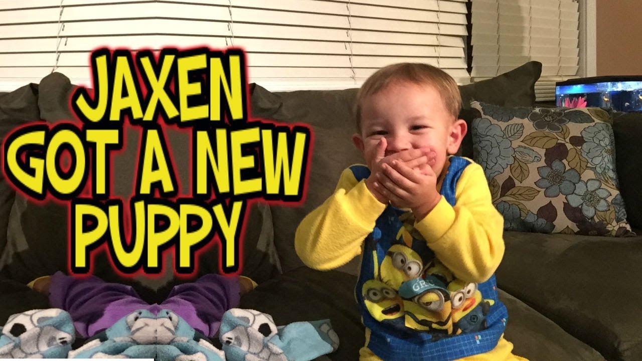 Jaxen got a new Puppy! - YouTube