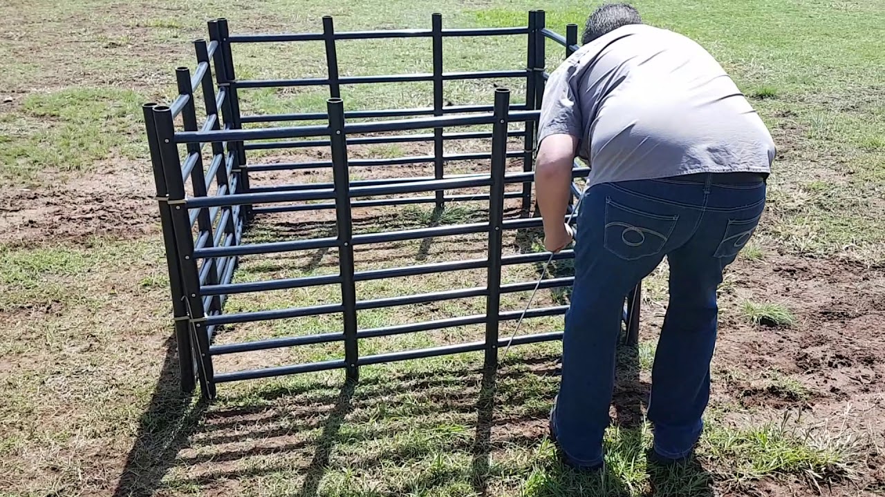 HEKKIES VB - YouTube