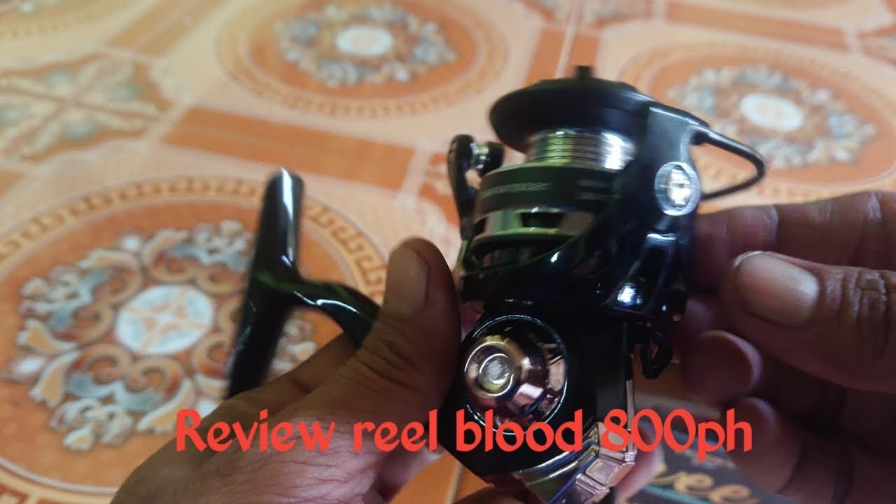 REVIEW REEL BLOOD WEE 800ph @SYAUQIFISH5932 - YouTube