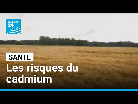 Faut-il s'inquiéter du cadmium, un métal lourd présent dans nos assiettes ? • FRANCE 24