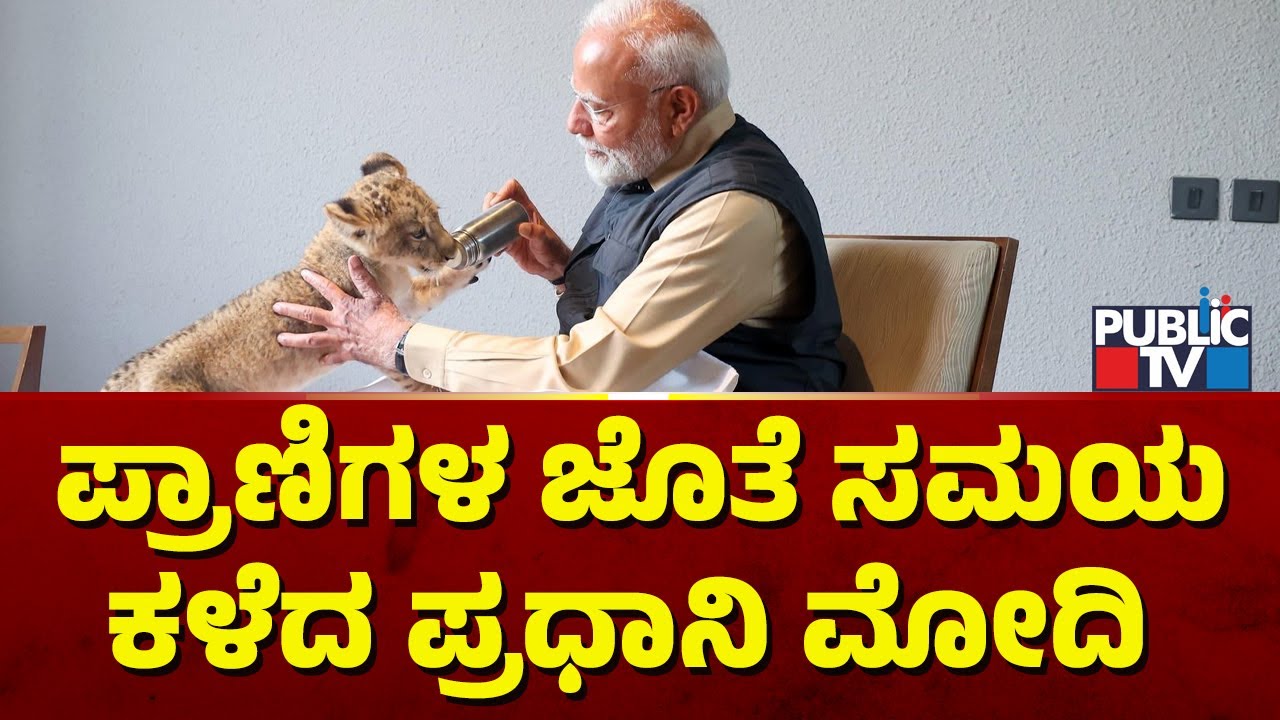 PM Modi Feeds Lion Cubs At Vantara | Public TV - YouTube