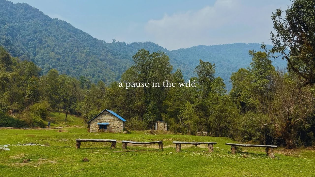 Lost in Nature | Quiet Trek to Khumai Dada | Nature, Stillness & Soft ...