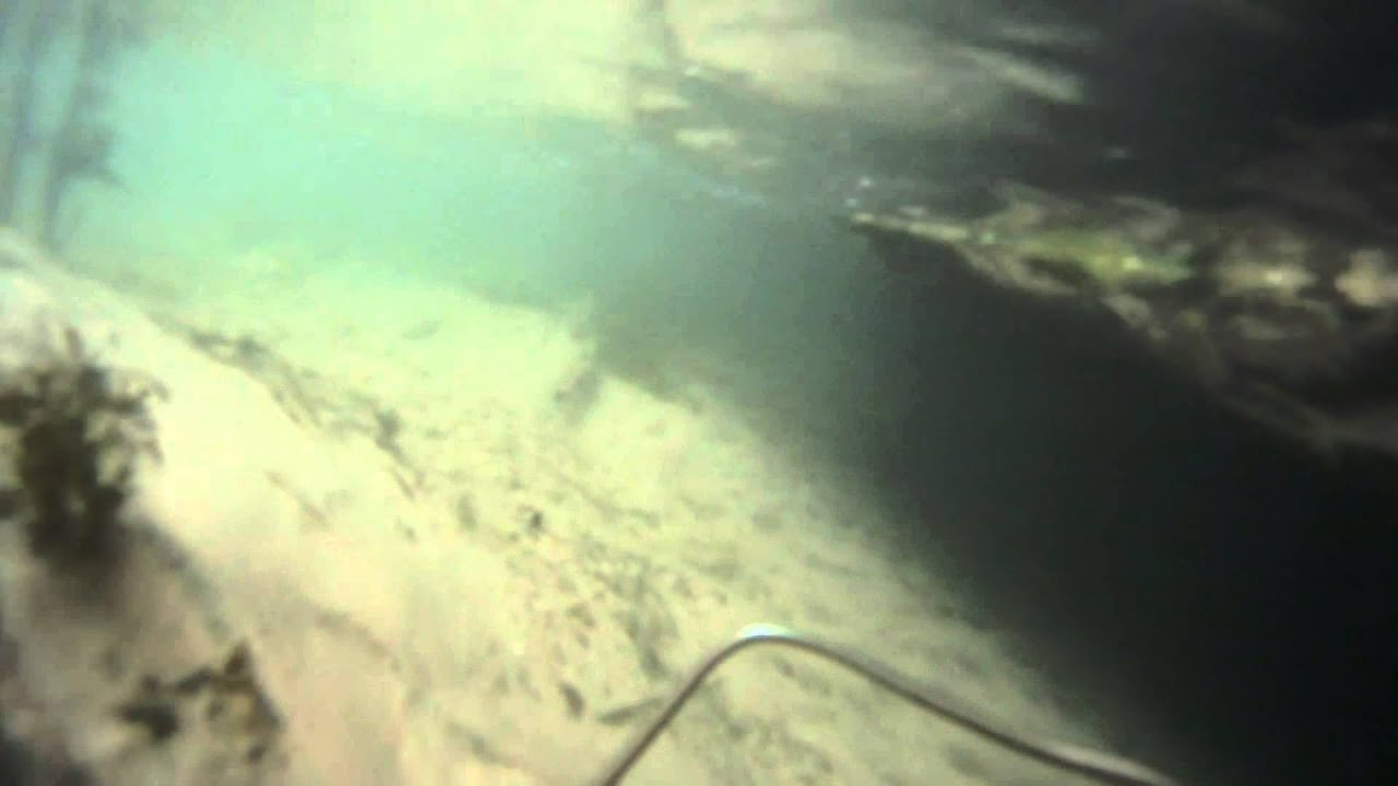 Backpack Electrofishing - YouTube