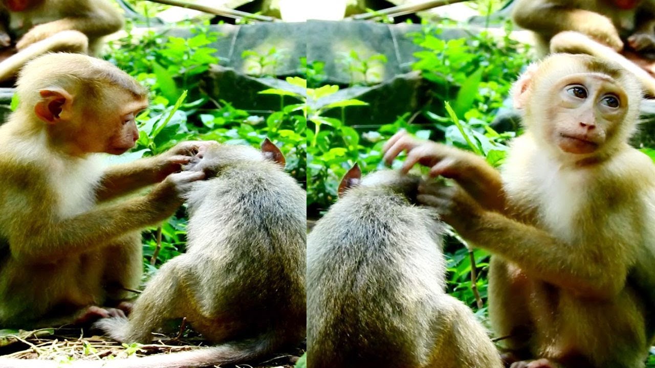 Ohoh Amanda tack good care to poor Baby dawn her stear love baby dawn ...