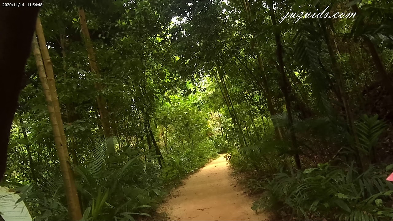 Nature Discovery Trail Sentosa Full walk Imbiah Lookout Nature trail on ...