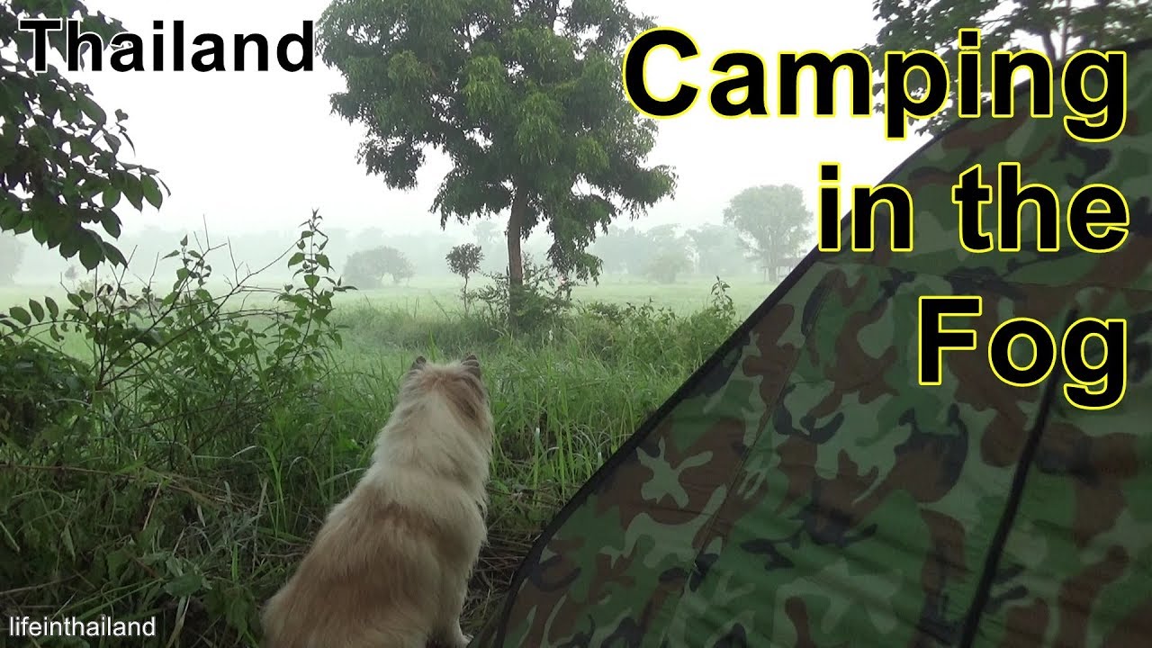 A very miserable night camping in Thailand, Hot, Mosquitoes, and Fog ...