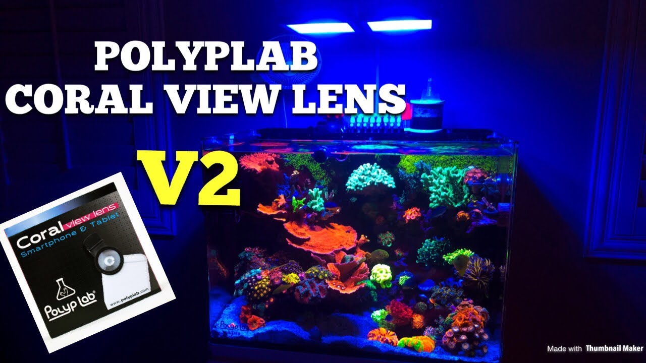 V2 POLYPLAB Coral View Lens - YouTube