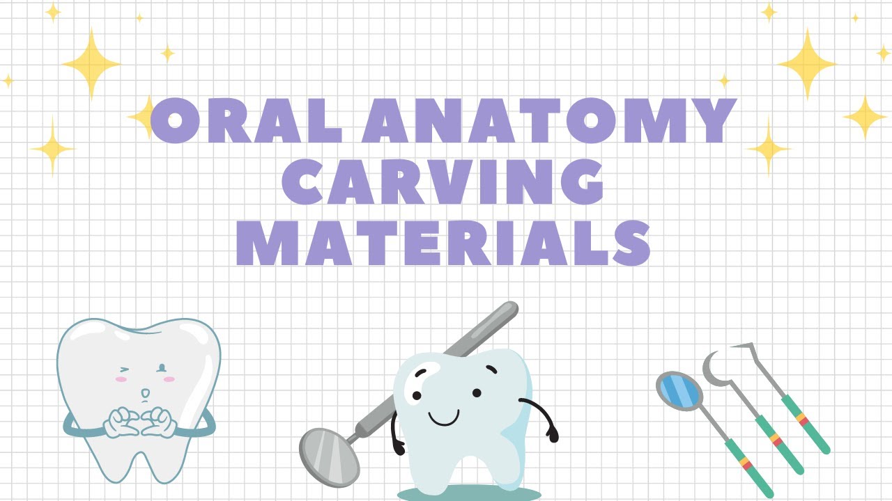 Dentistry Essentials: 🛠️ Oral Anatomy Carving Tools for 2nd Year Dental ...
