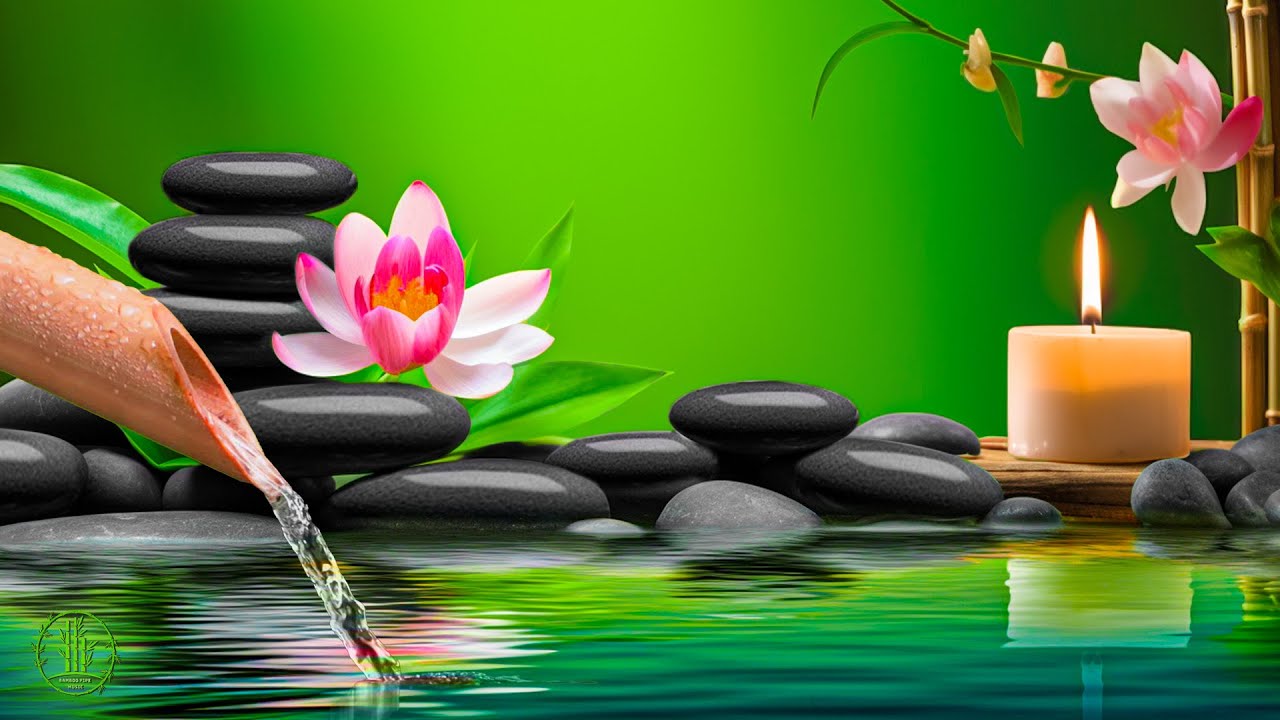 Relaxing Zen Music with Nature Sounds | Sleep, Meditation & Stress ...