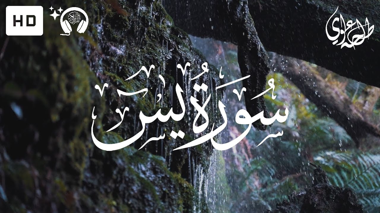 Surah Yasin - Talha Alvi | سورة يس - طلحه علوي - YouTube