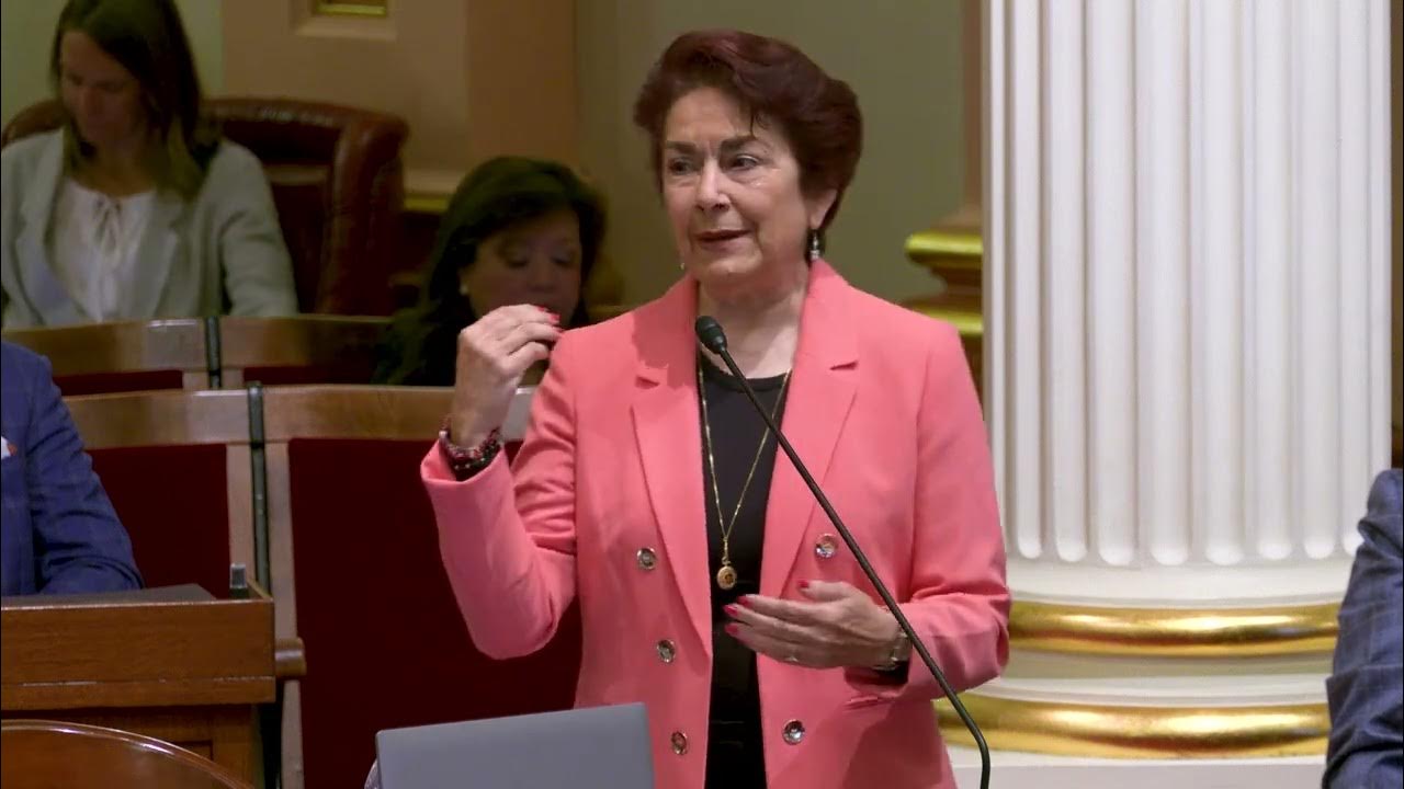Senator Caballero Presents on Distressed Hospital Loan Program - YouTube