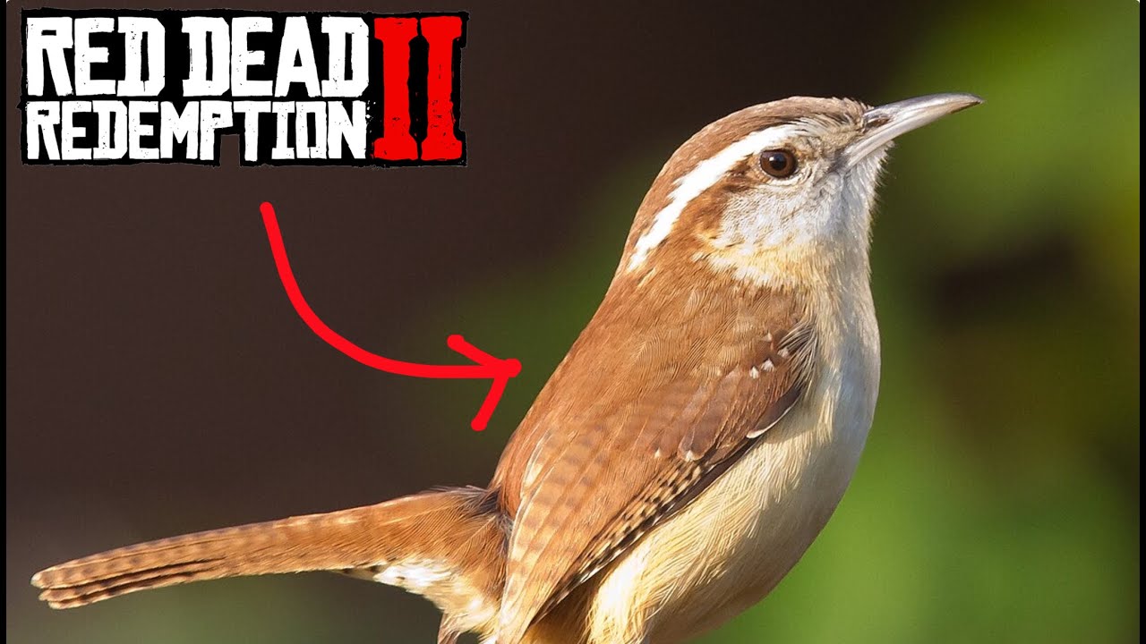 Nostalgic bird sound in RDR2 - YouTube